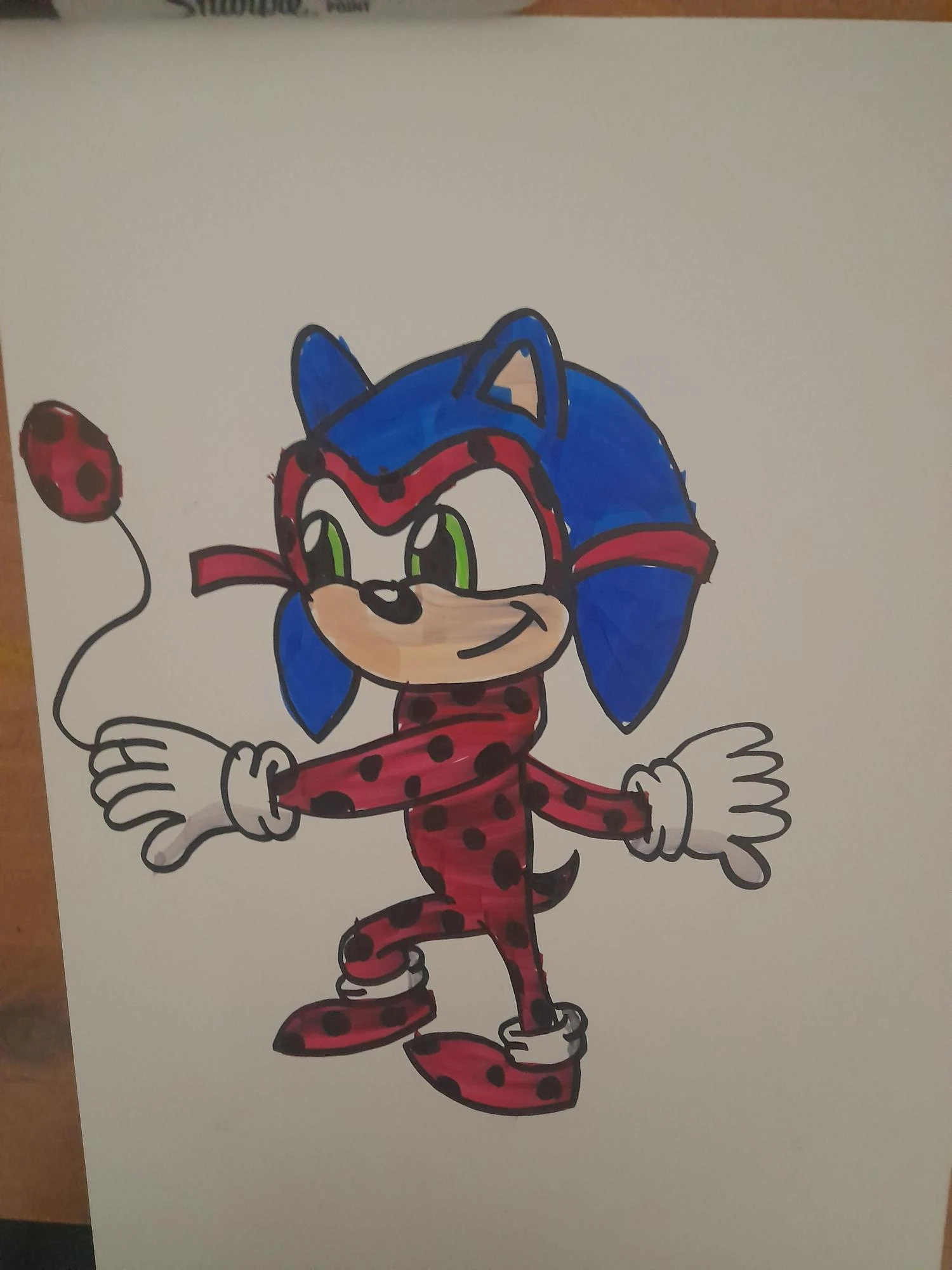 My fusion between Sonic and the Miraculous Ladybug | Fandom