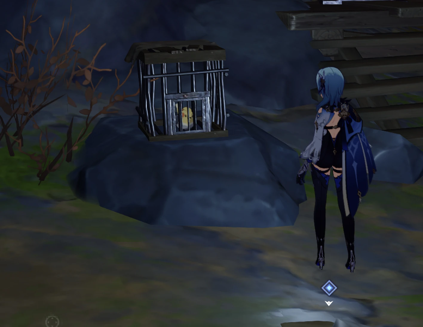 Why. Is this bird. In a cage? | Fandom