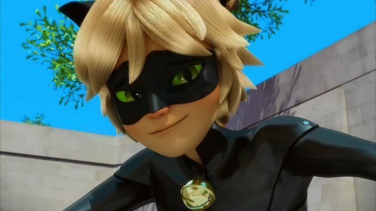 What do you think of Chat Noir simps in the fandom. | Fandom