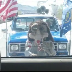 Wolfman Zapp's amazing bar and grill restaurant and arcade | Fandom