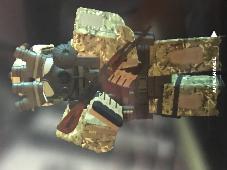 Chaos insurgency | Fandom