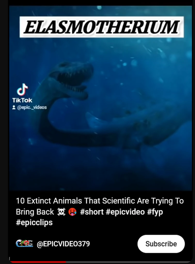 I have several questions... | Fandom