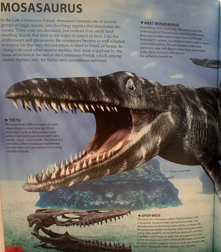 Is It Wrong? Part 14 | Fandom