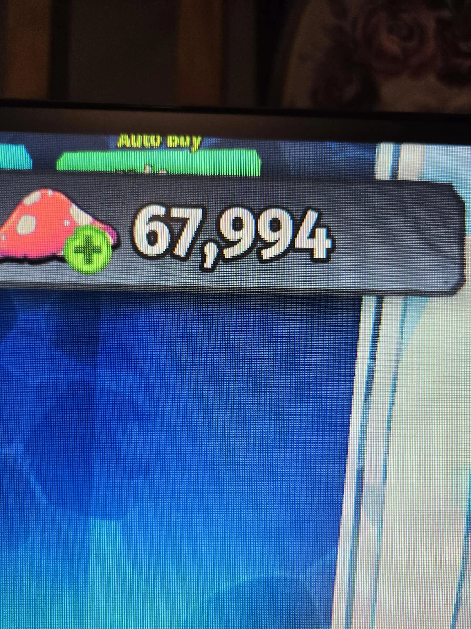 Buying Miju Name your price ( ONLY looking for Miju) | Fandom