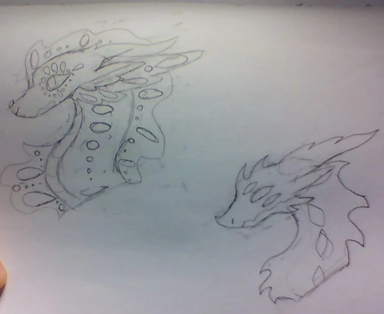 Golden LeafWing OTA! | Fandom