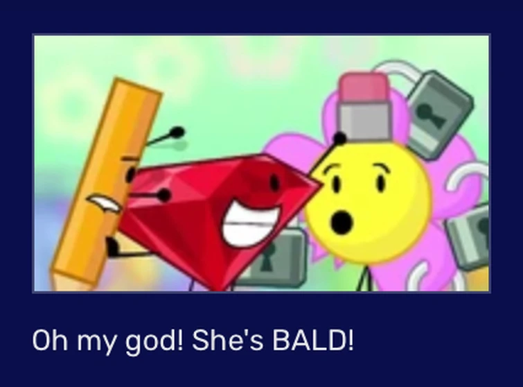 Out of context bfdi wiki captions 1 | Fandom