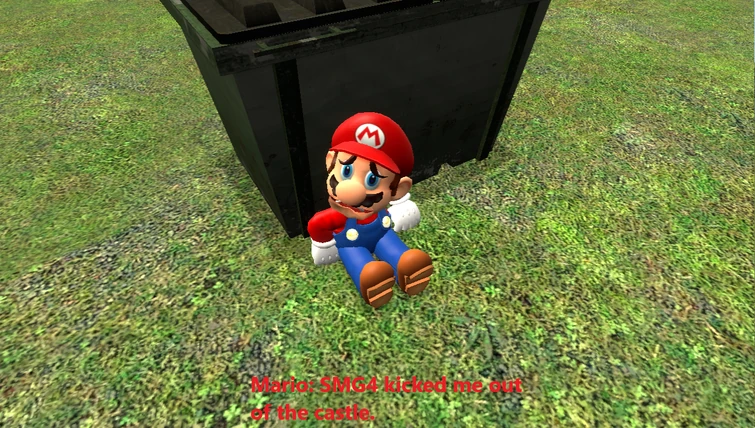 Mario the Homeless Man | Fandom