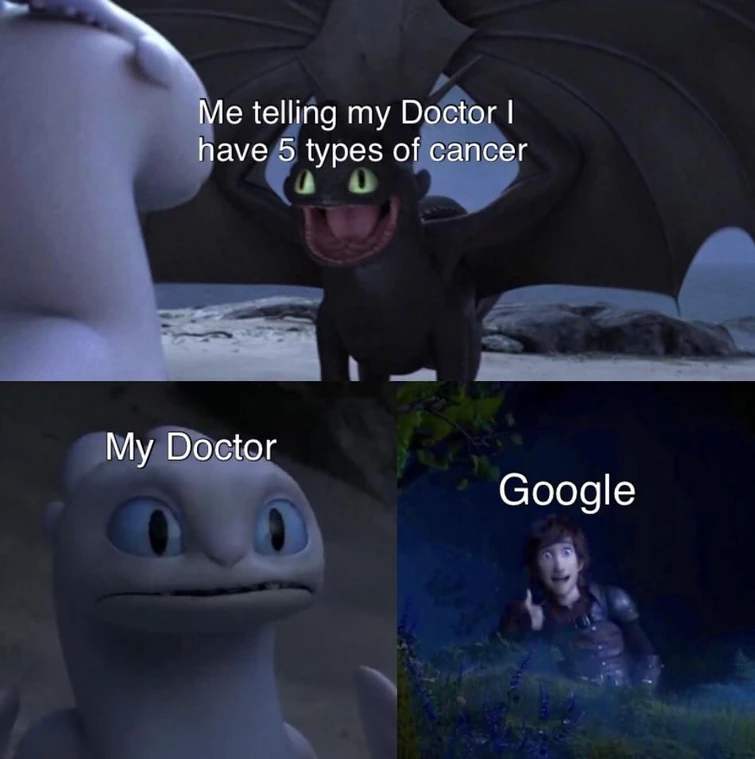 How To Train Your Dragon memes guaranteed to make you laugh you laugh ...
