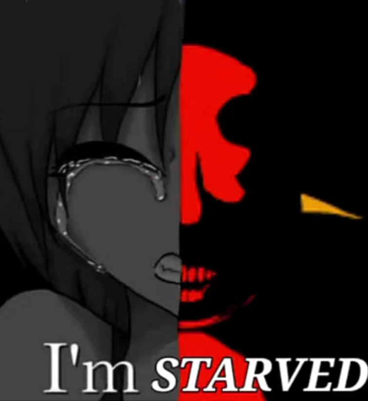 Random Images I Have In My Camera Roll Fandom