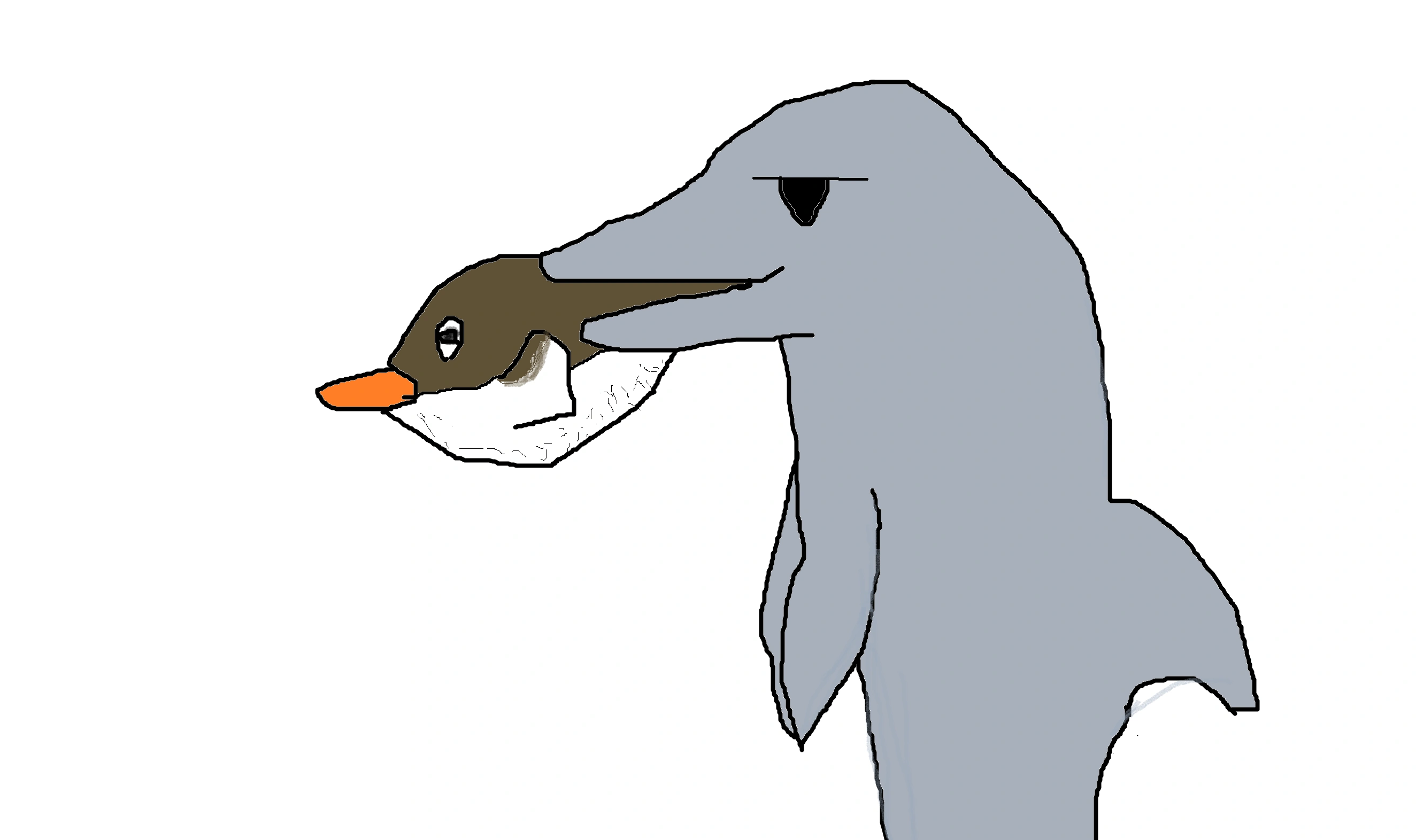 Dolphins smile because they know how terrible they can be. | Fandom