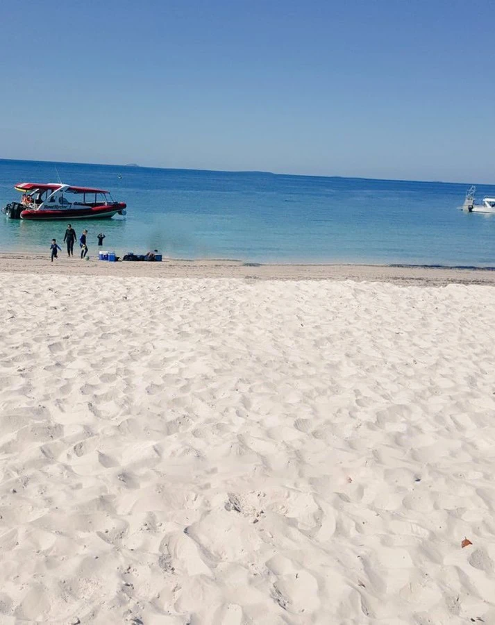 A completely normal beach | Fandom