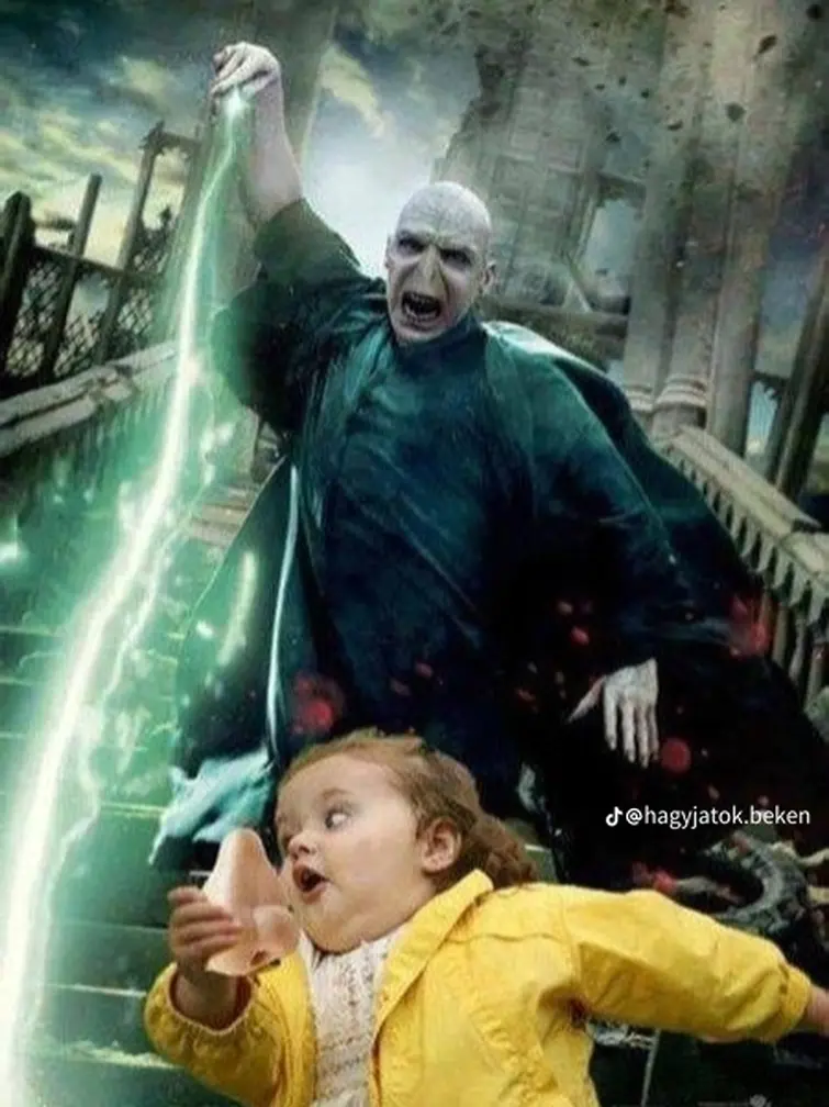 Actually funny hp memes | Fandom