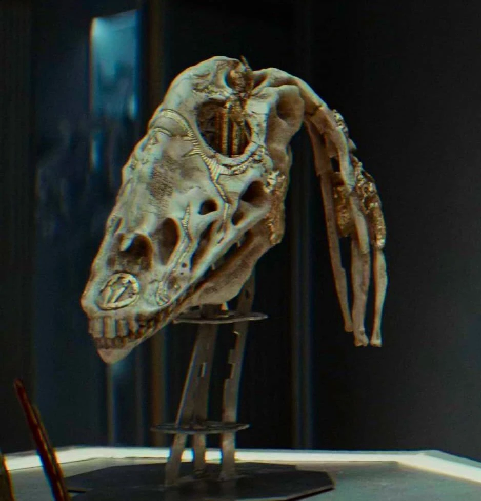 A Gungan skull appears in Episode 10 of ‘ANDOR’ S2. | Fandom