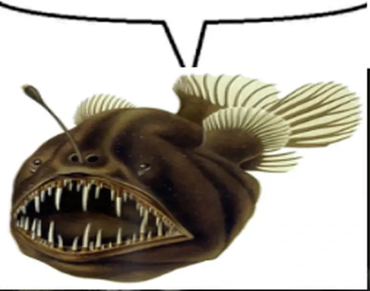 Basic Knowledge Quiz #14, which sentence is grammatically correct? | Fandom