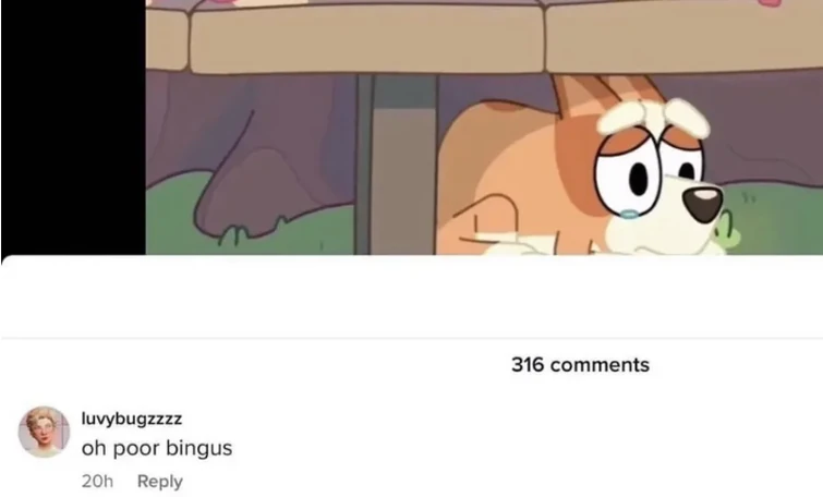 poor bingus :d | Fandom