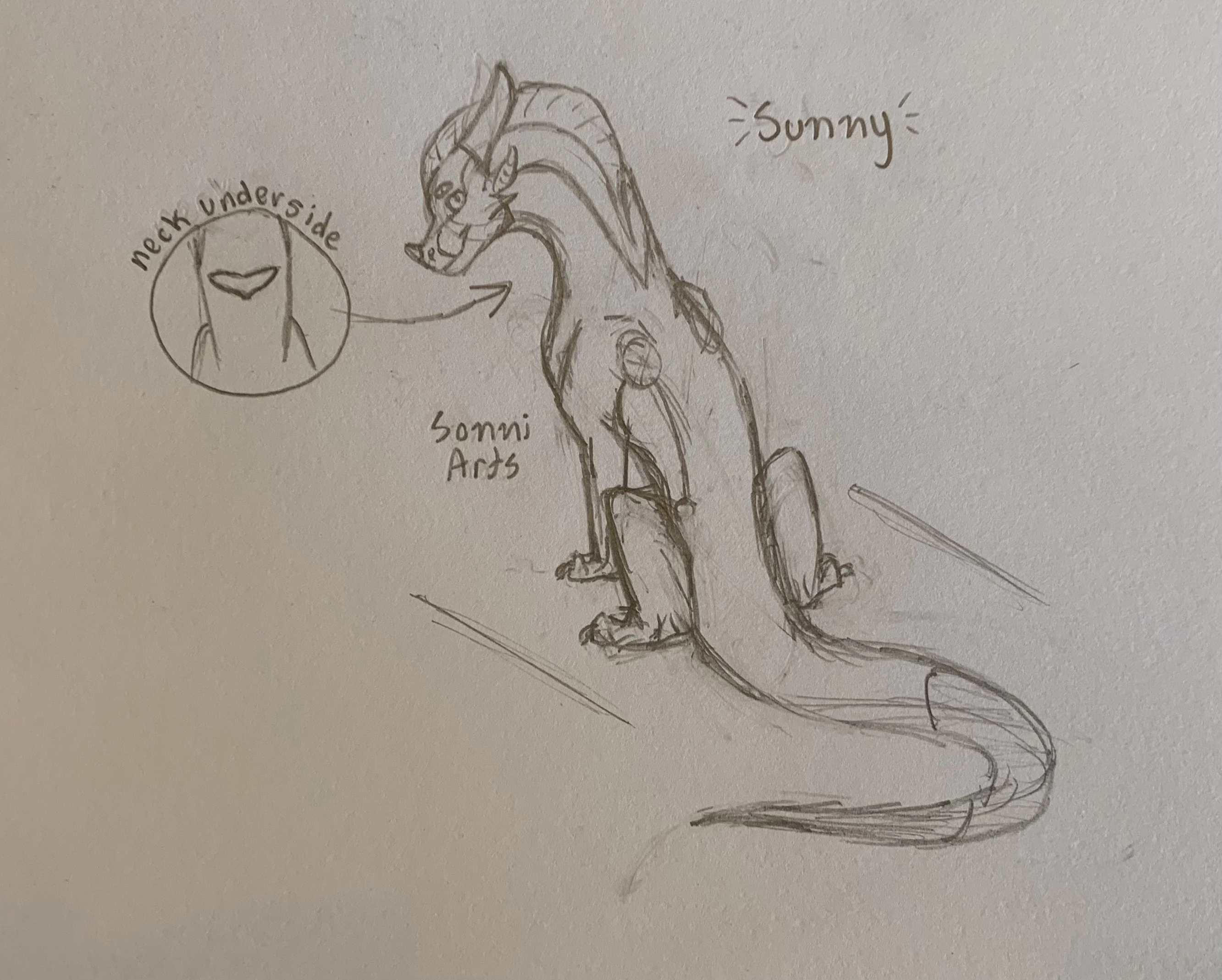 S’more DoD Animatic Designs | Fandom