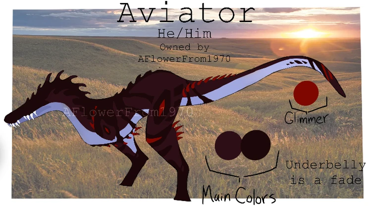 Aviator reference sheet remake | Fandom