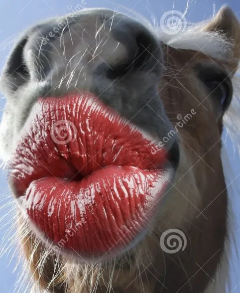 Face reveal (very real)😨 vEry aHem | Fandom