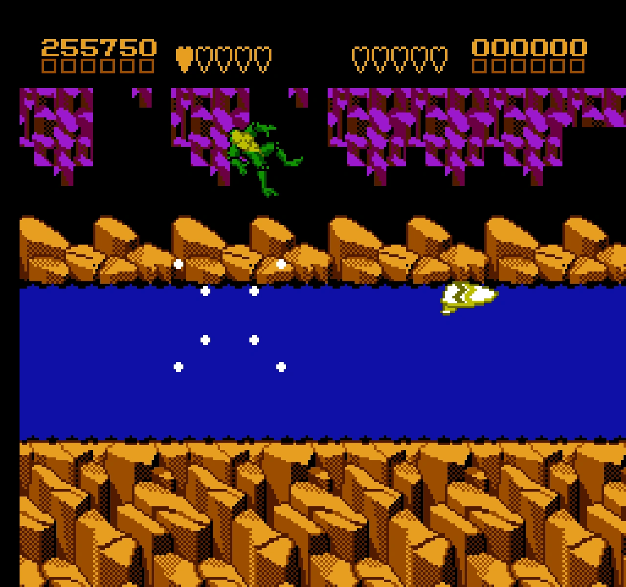 Toad shot whilst surfing down the Bronx | Fandom