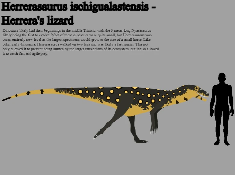 Herrerasaurus art | Fandom