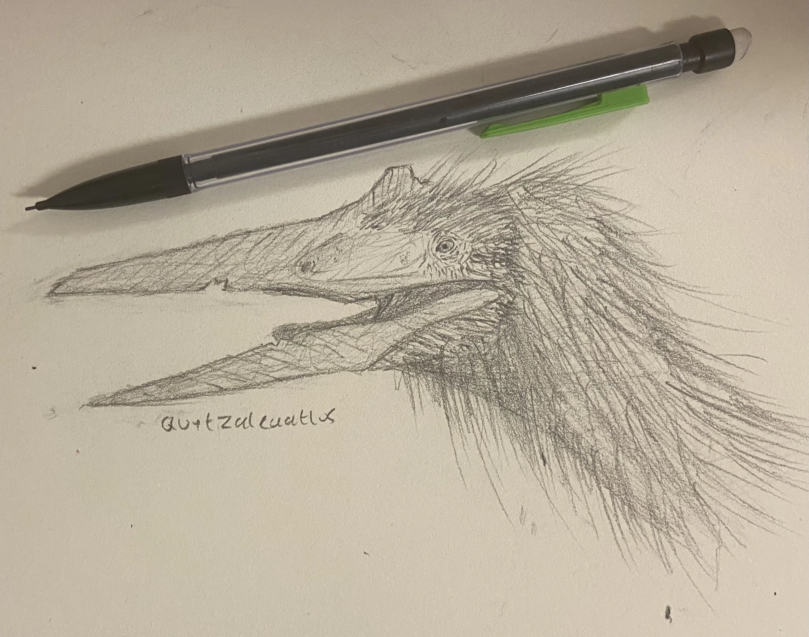 Drawing a quetz from memory due to my schools phone ban | Fandom