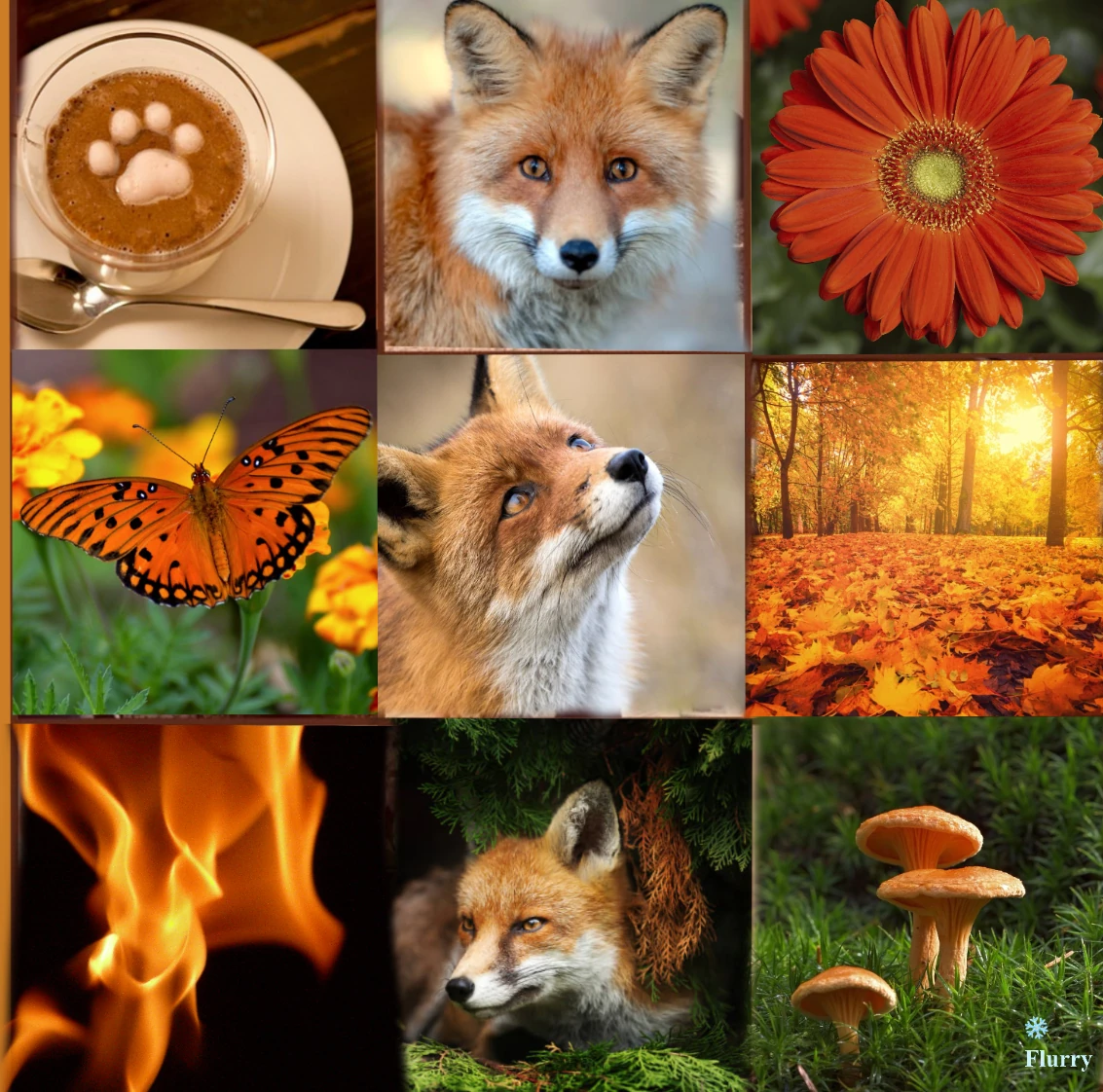 I made my first real moodboard!! | Fandom