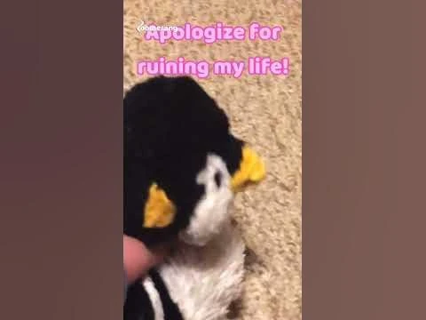 I love my new Blue Shell plushie so much | Fandom