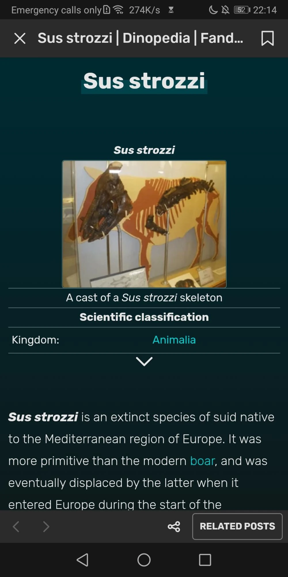 When strozzi is sus 😳 | Fandom