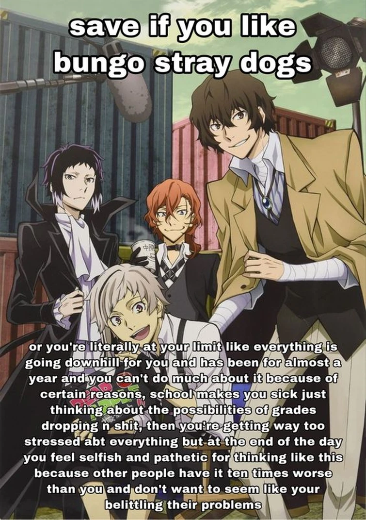 bsd memes 😻 | Fandom