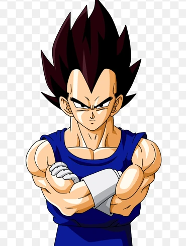 Which Vegeta outfit is your favorite? | Fandom