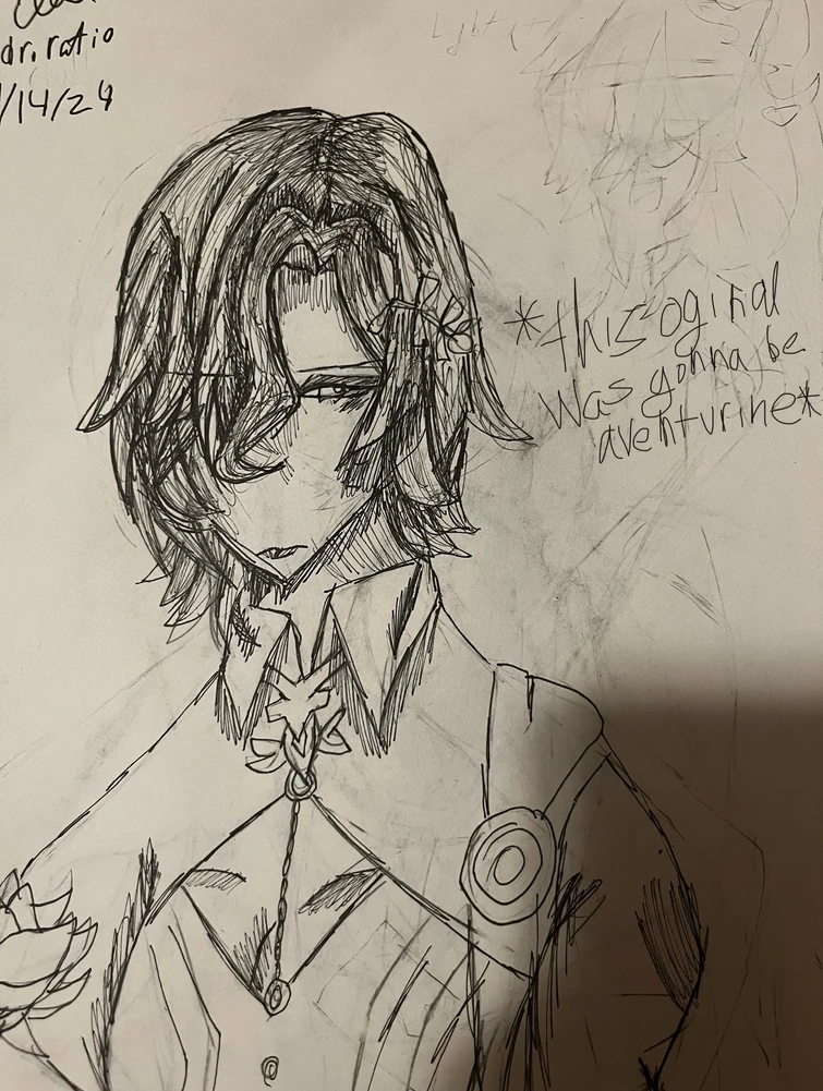 Sharing some of my Honkai drawings/scretchs | Fandom