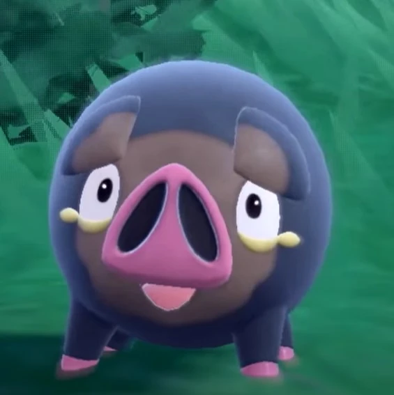 i love lechonk | Fandom