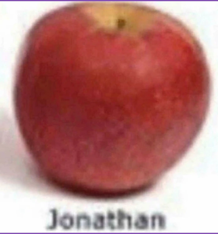 Jonathan | Fandom