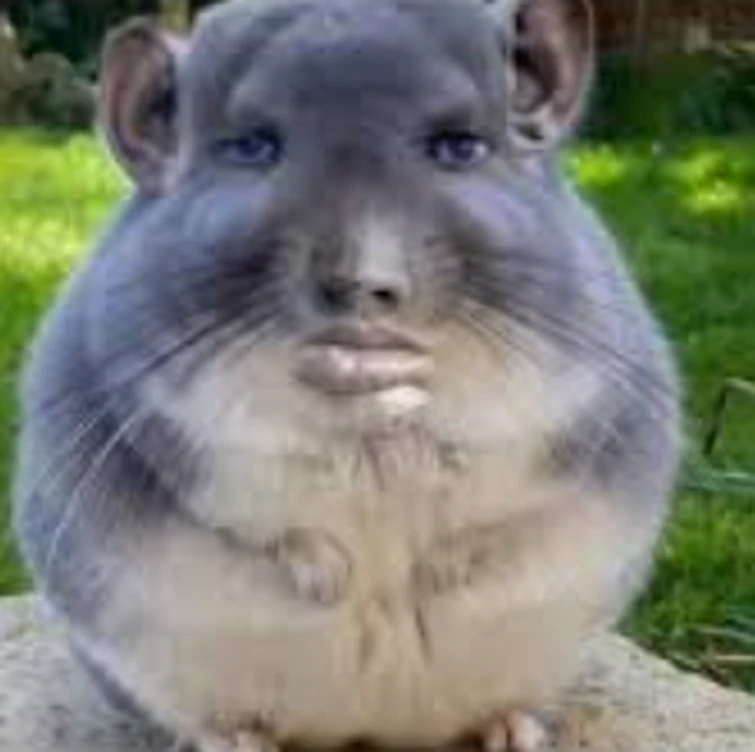 When i reach 5000 posts should i make the community change my pfp? | Fandom