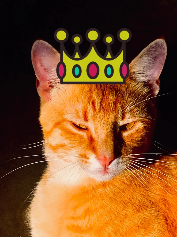 exposing a very ohio rizzler, part two | Fandom