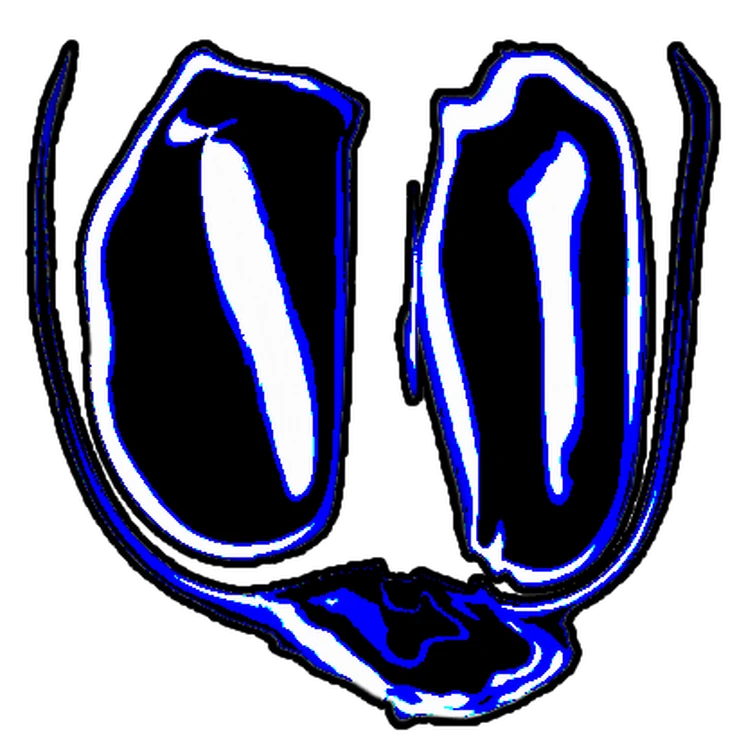 chatting place | Fandom