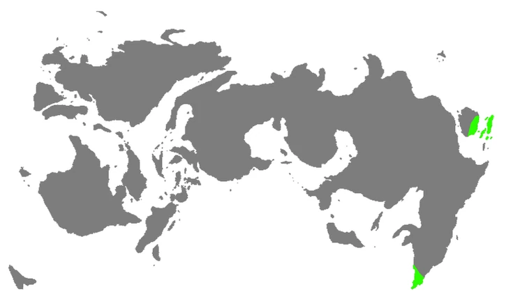 here's a world map template for you lazy freaks | Fandom
