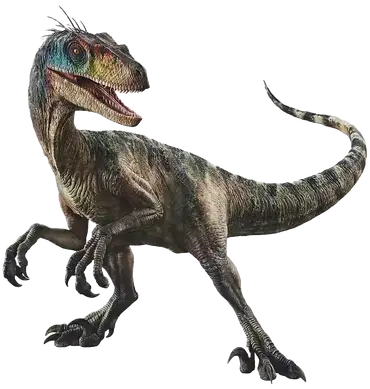 Best Velociraptor design? | Fandom