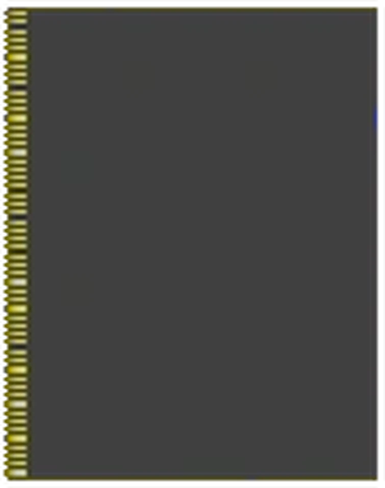 Discuss Everything About Baldi's Basics Wiki | Fandom