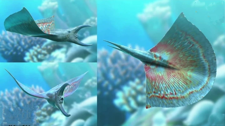 Pincer fish | Fandom