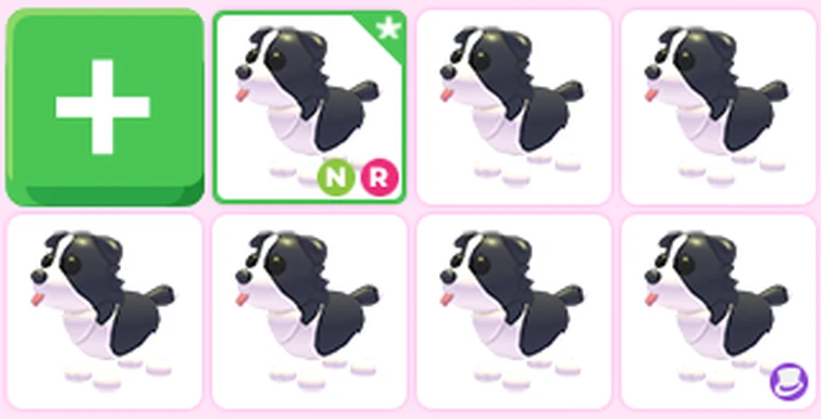 trading collies | Fandom