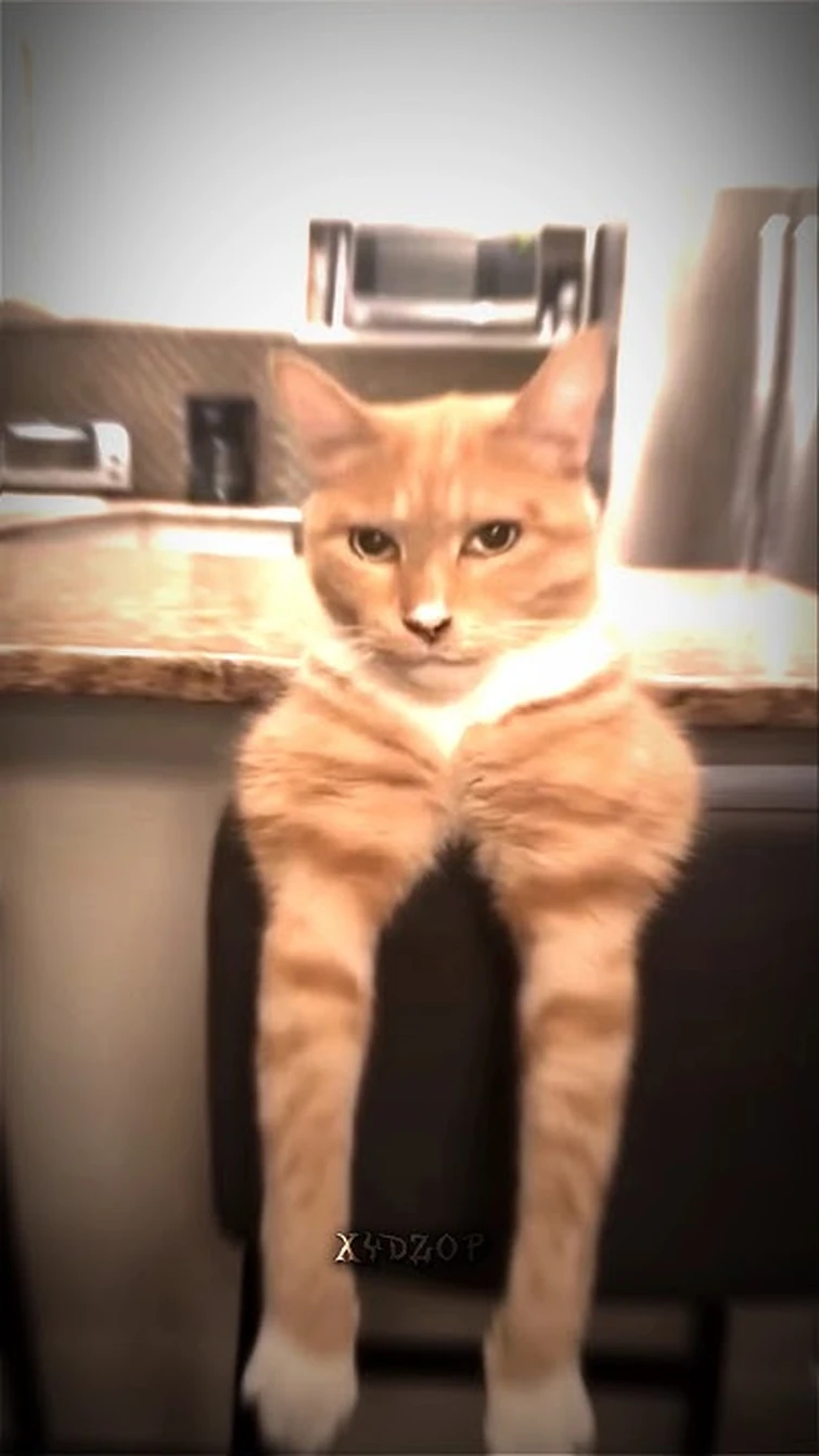 Profile powers | Fandom