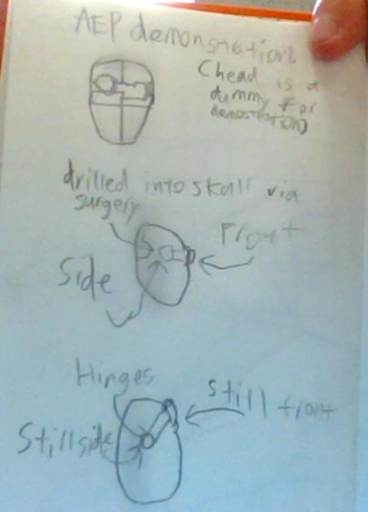 Discuss Everything About Decaying Winter Wiki | Fandom