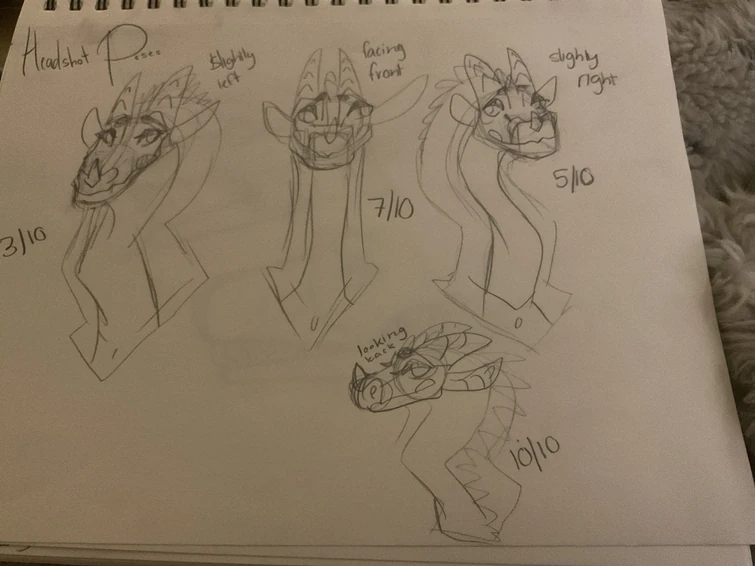 grrr posing , headshot pose and teeth anatomy practice | Fandom