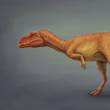 Discuss Everything About Dinopedia | Fandom