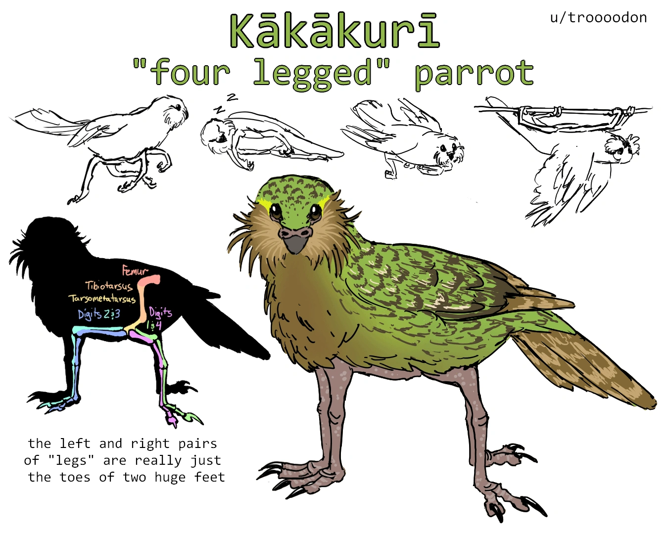 OFF TOPIC BOIS | Fandom