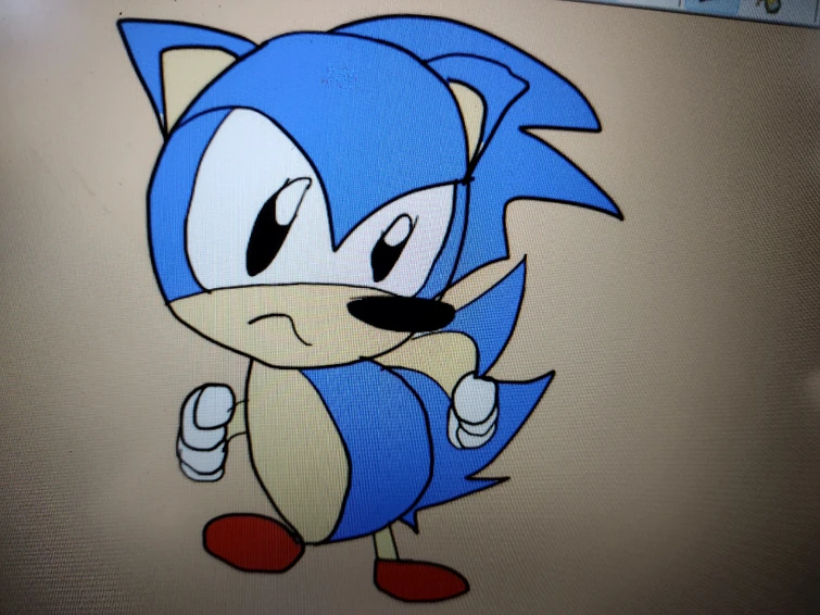 AOSTH Sonic ready to spin. | Fandom