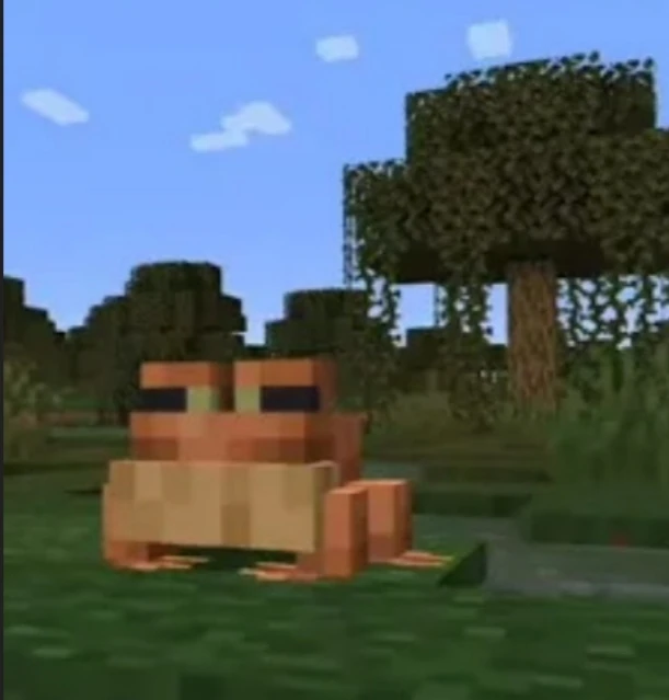 Hop Pop in the Minecraft | Fandom