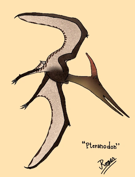 My drawing of Pteranodon according to the skeleton | Fandom