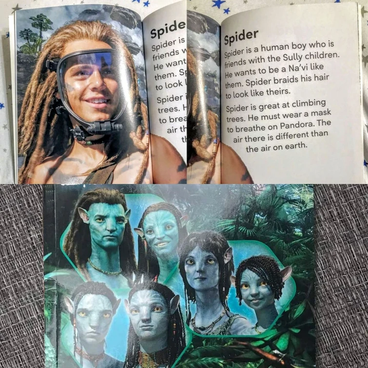 Spider Socorro details in a book called Avatar: Sullys Sticks Together ...